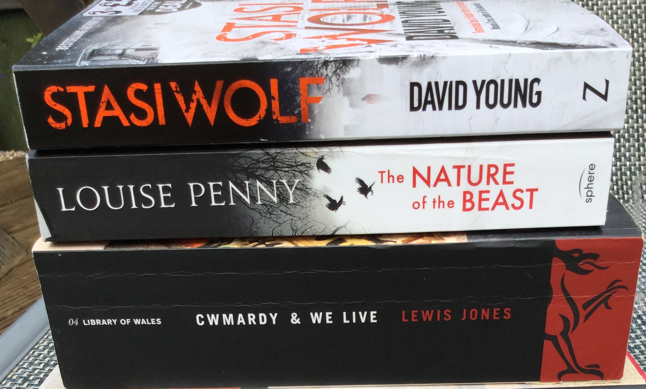 An ever so tiny book splurge : BookerTalk